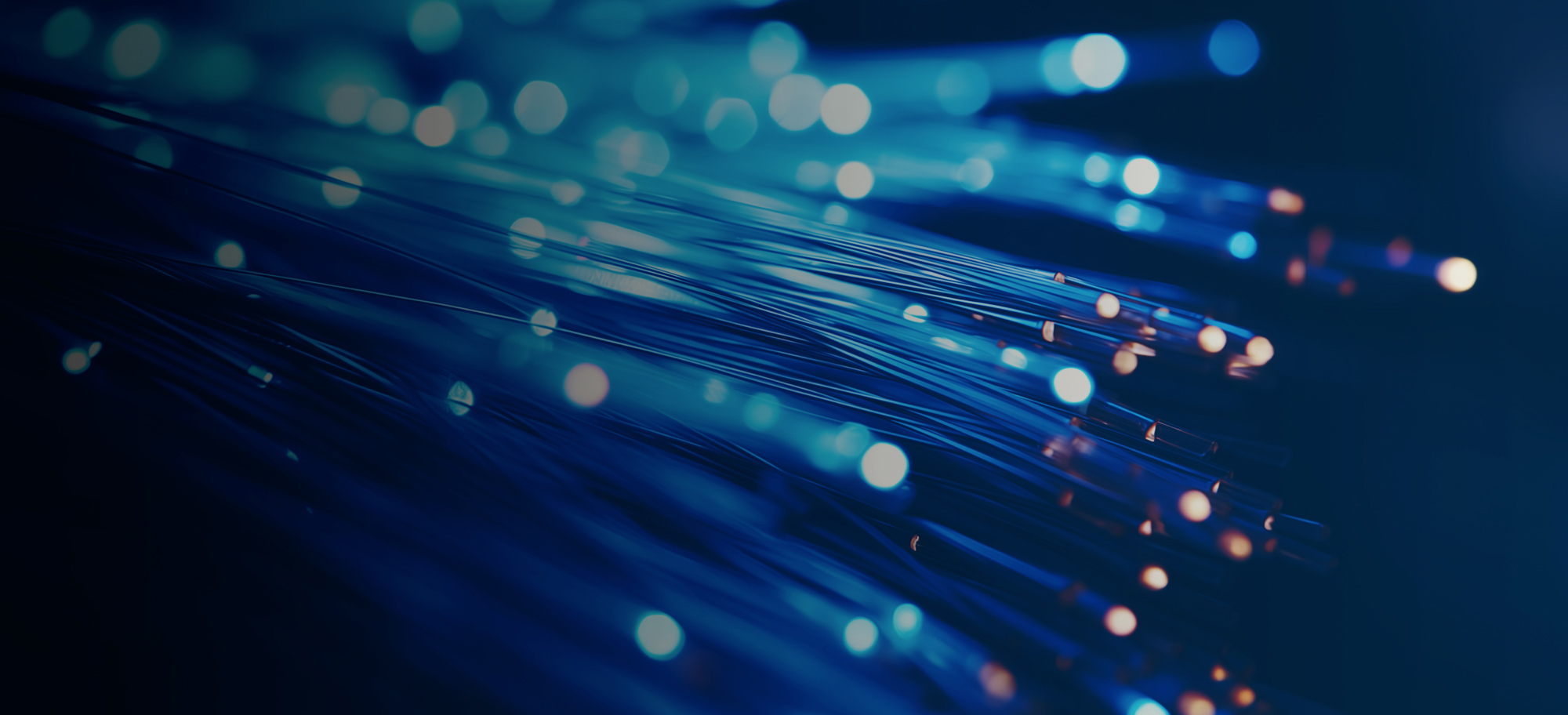 EXFO 800G & 1.6T Network Testing Solutions | Fast, Reliable Electrical ...